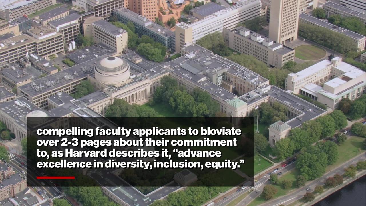 MIT tosses controversial 'diversity - One News Page VIDEO