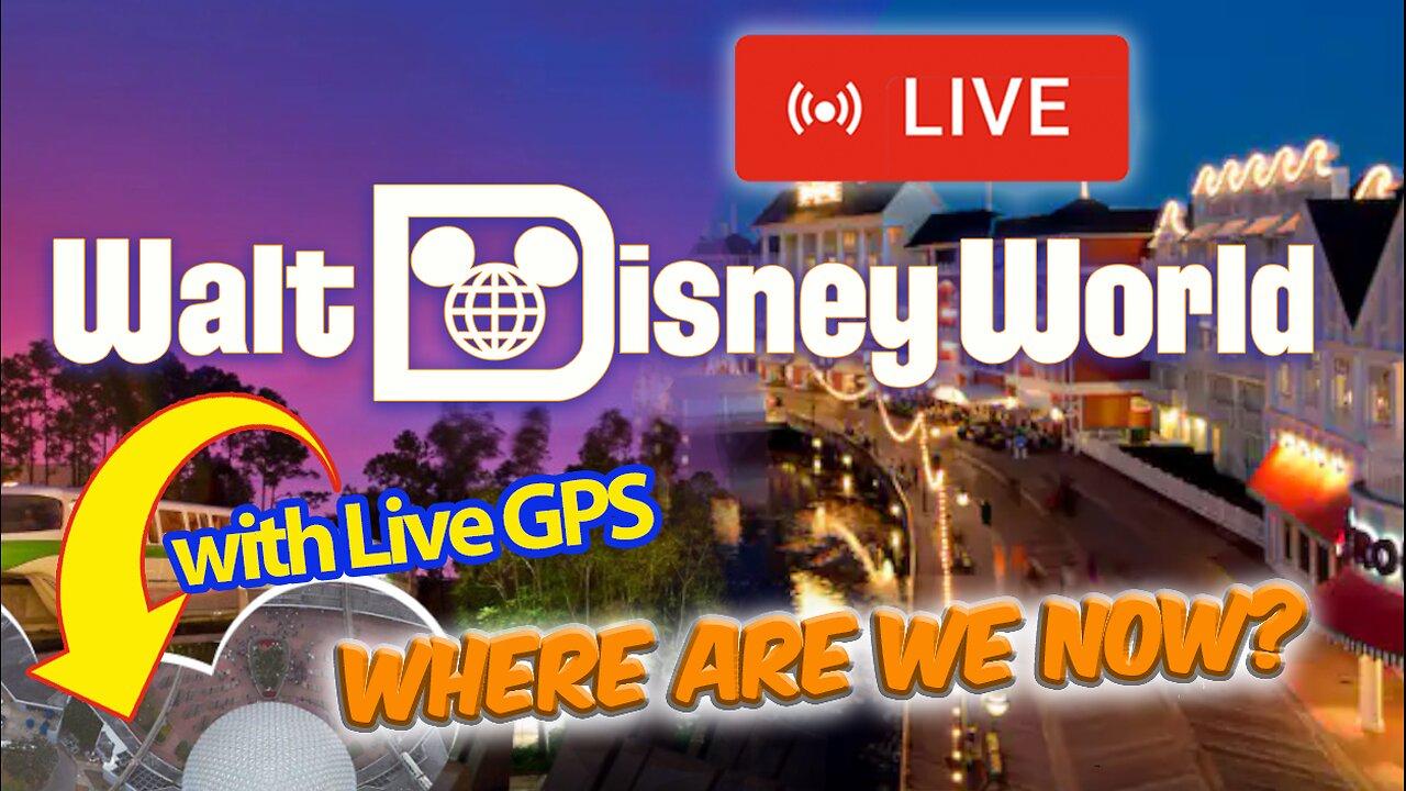 🔴 🏰 LIVE from Disney World with - One News Page VIDEO