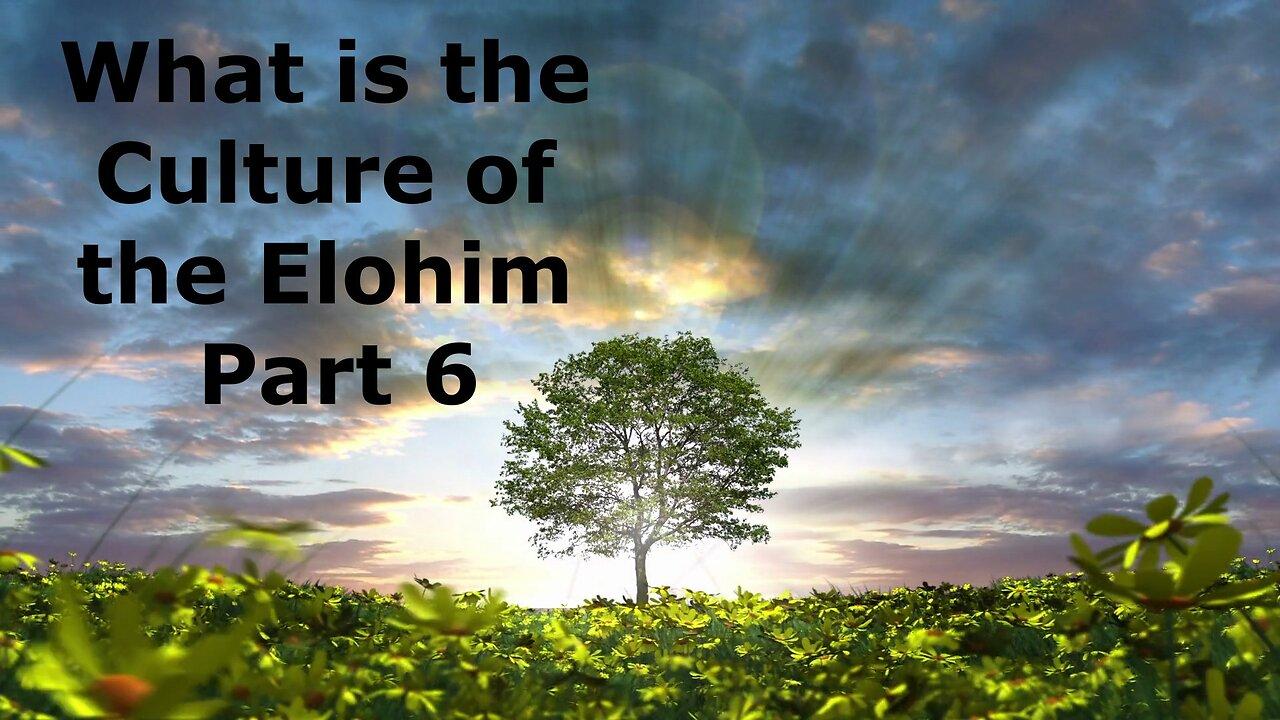 What is the culture of the Elohim? Part 6 - One News Page VIDEO