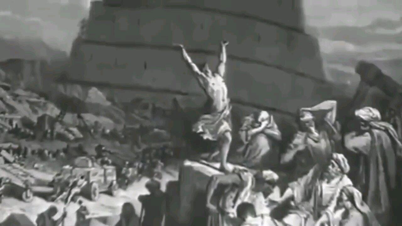 White Genocide - One News Page VIDEO