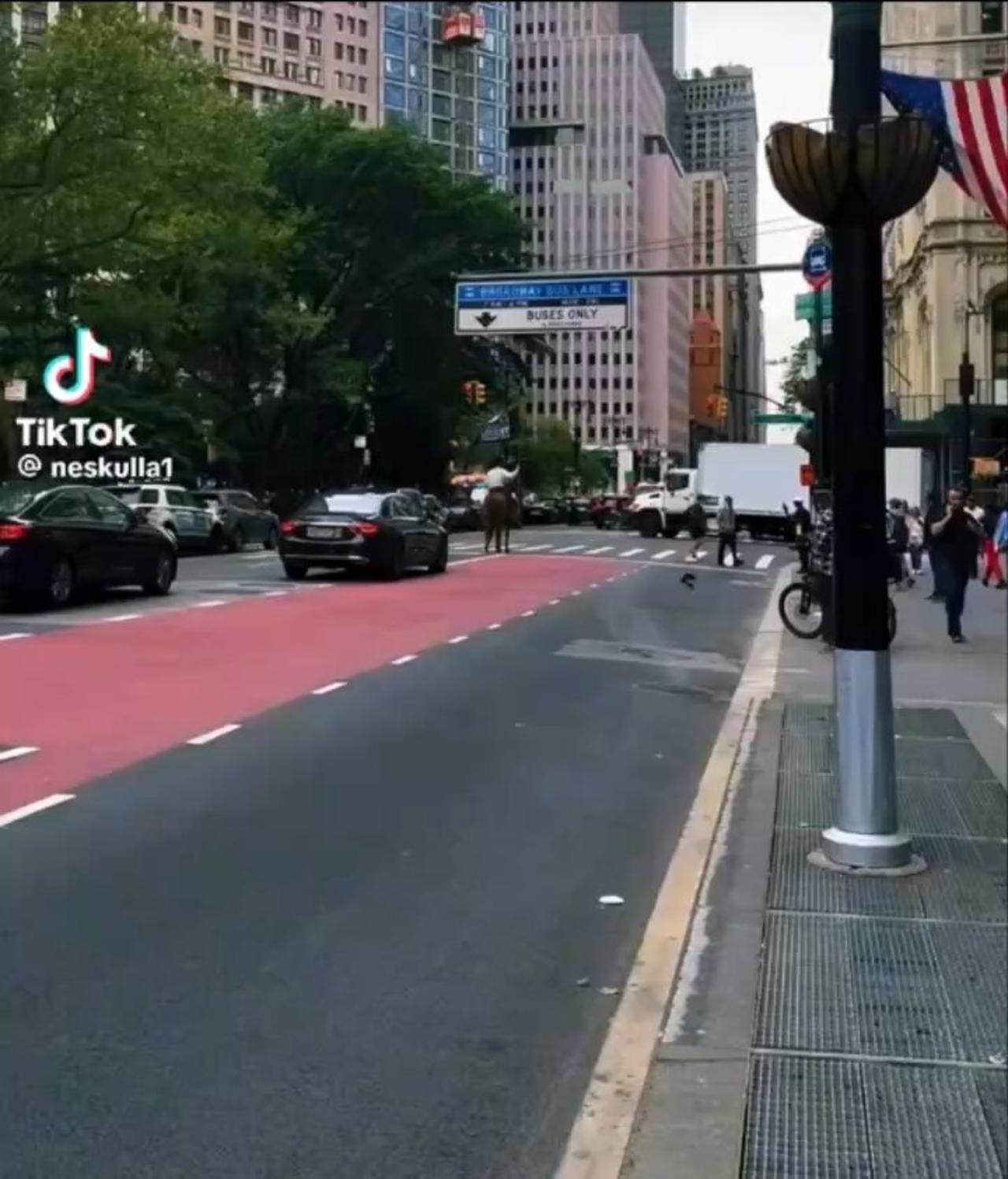 The Coolest Thing I Have Ever Seen! MAGA Strong! - One News Page VIDEO