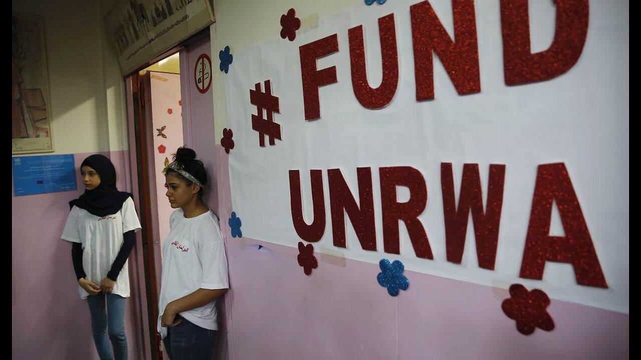 Corrupt United Nations Agency Accused of - One News Page VIDEO