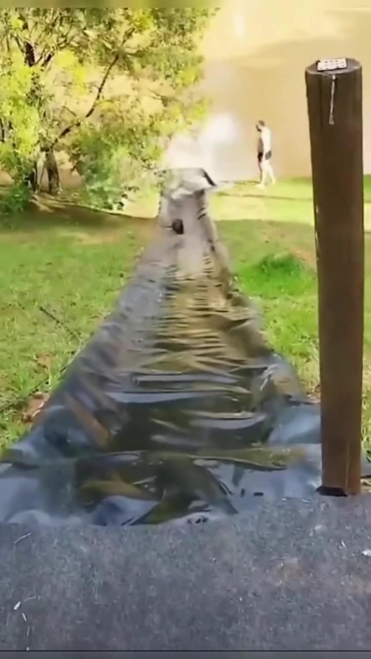 Funny moments between animals and humans - One News Page VIDEO