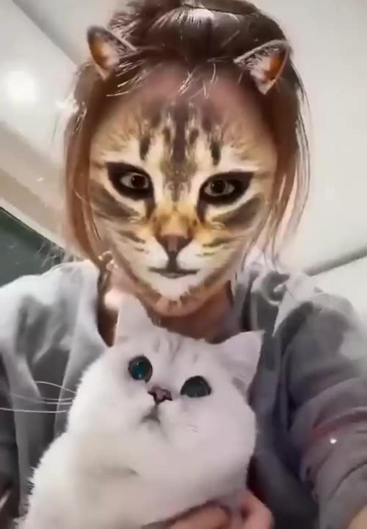 The way these cats react - One News Page VIDEO