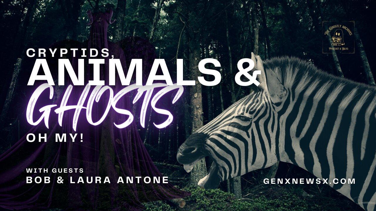 Cryptids, Animals, & Ghosts Oh My! With Bob - One News Page VIDEO