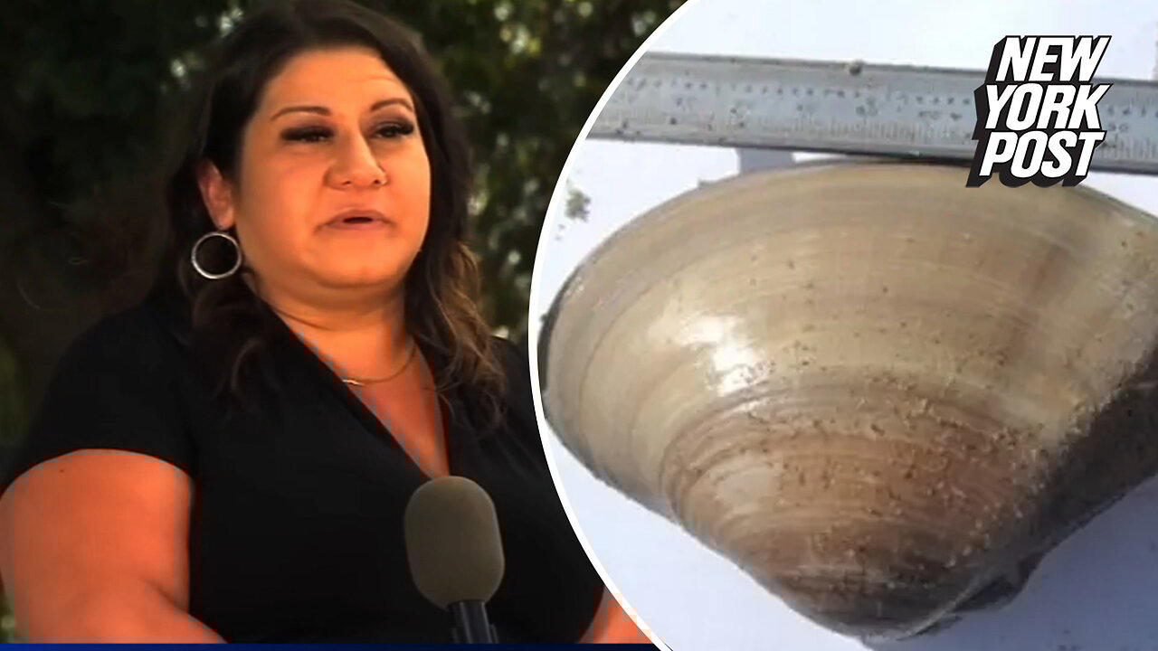 Mom fined $88K after kids collect 72 clams from - One News Page VIDEO