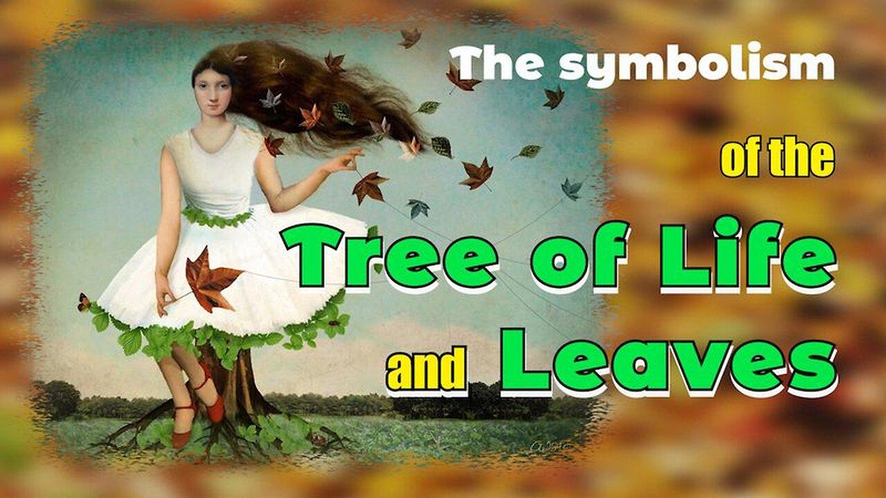 The symbolism of the Tree of Life and Leaves - One News Page VIDEO