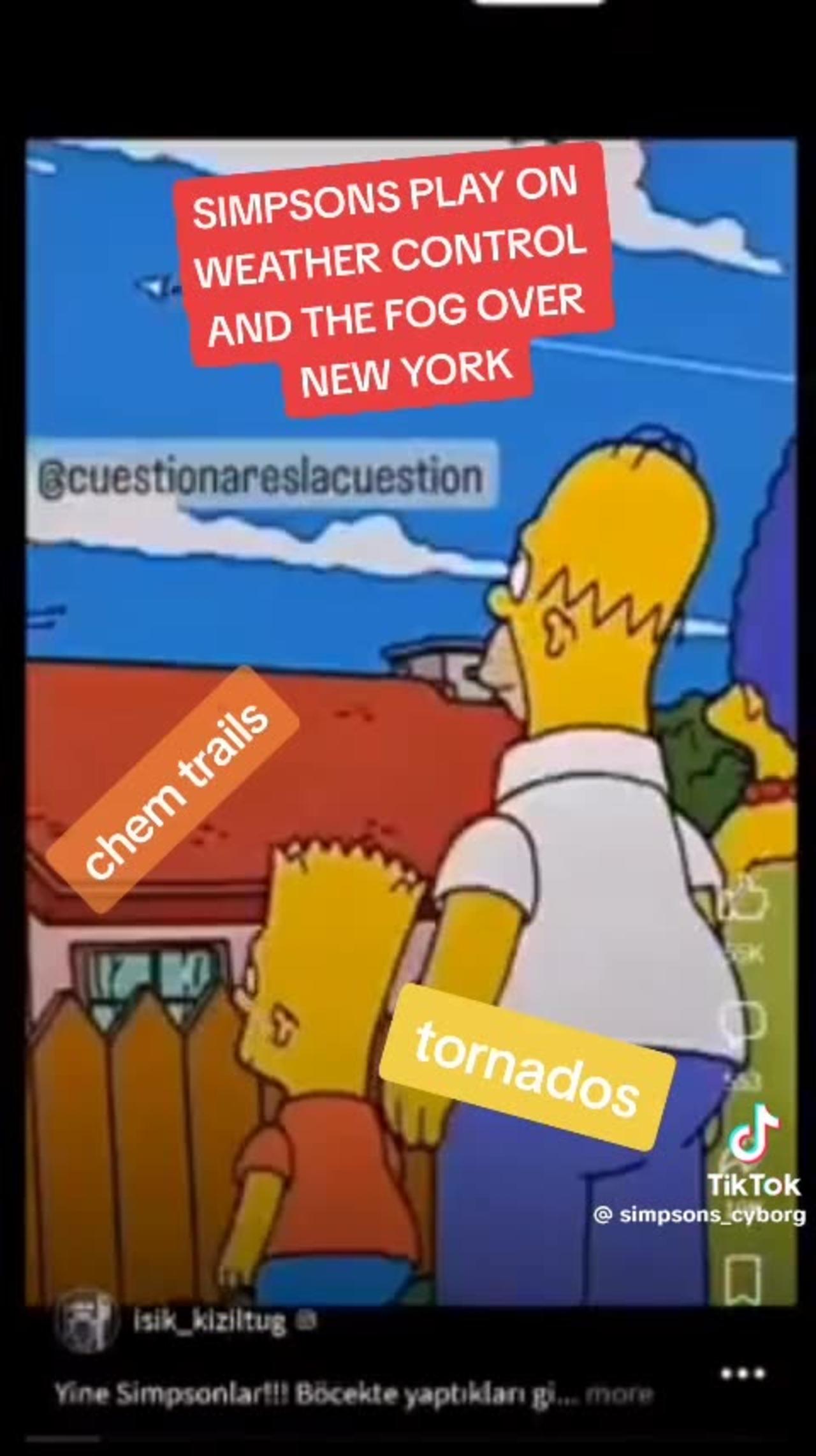 Simpsons prediction of weather control - One News Page VIDEO