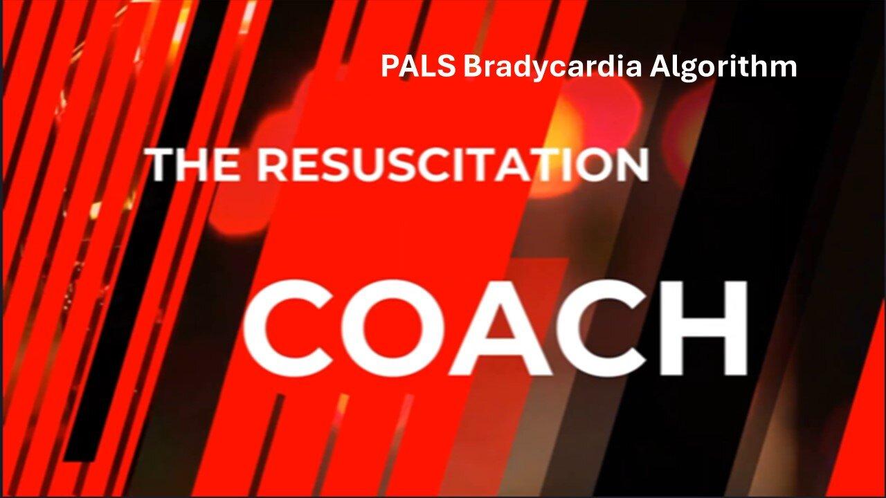 PALS Bradycardia Algorithm - One News Page VIDEO