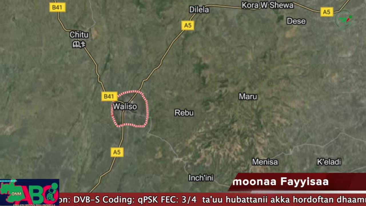 Oduu Waaree Onm Abo Caamsaa 29 2024 Itti One News Page Video