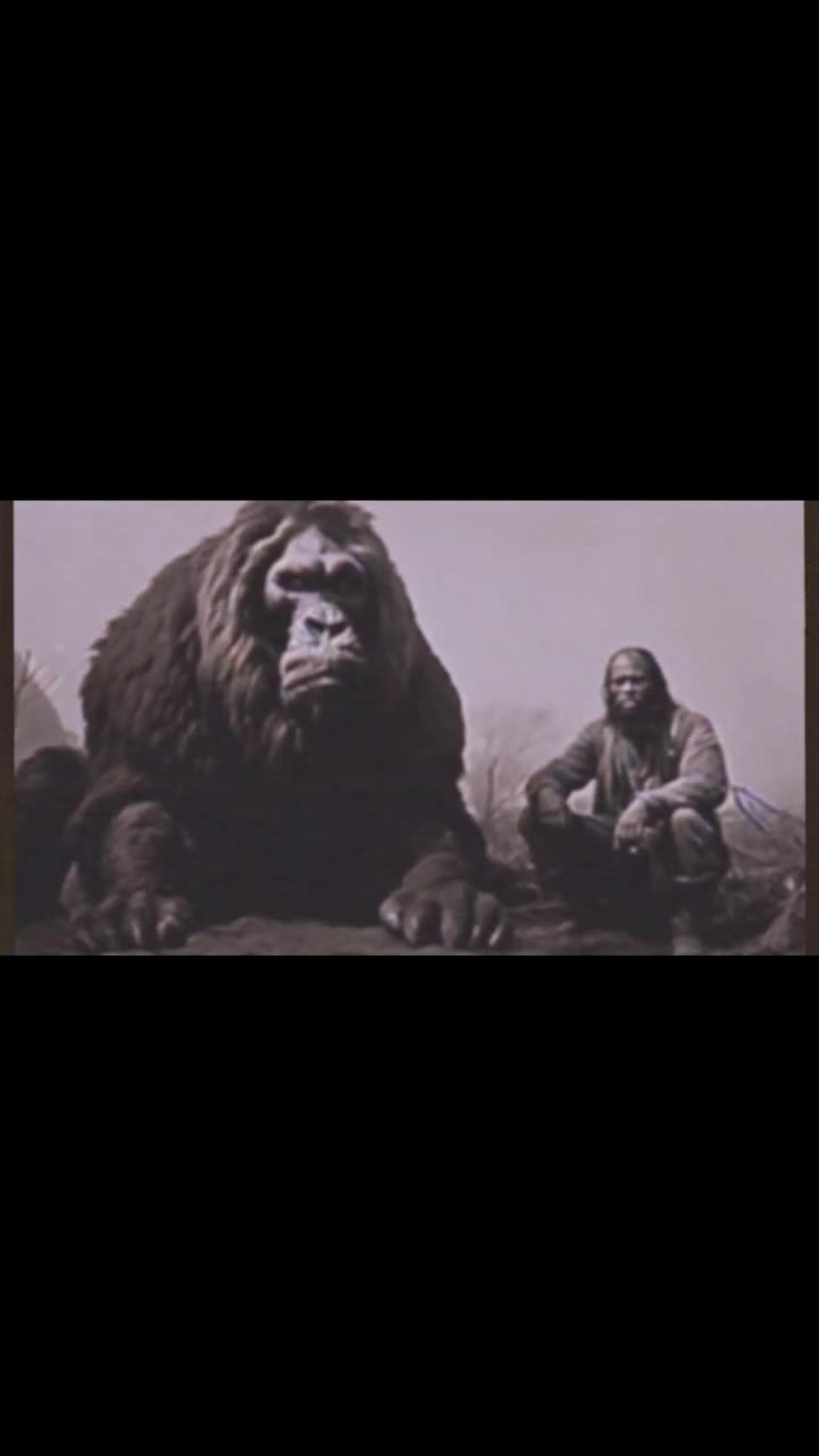 IN A REMOTE ISLAND BEAST EXISTED WITH HUMANS - One News Page VIDEO