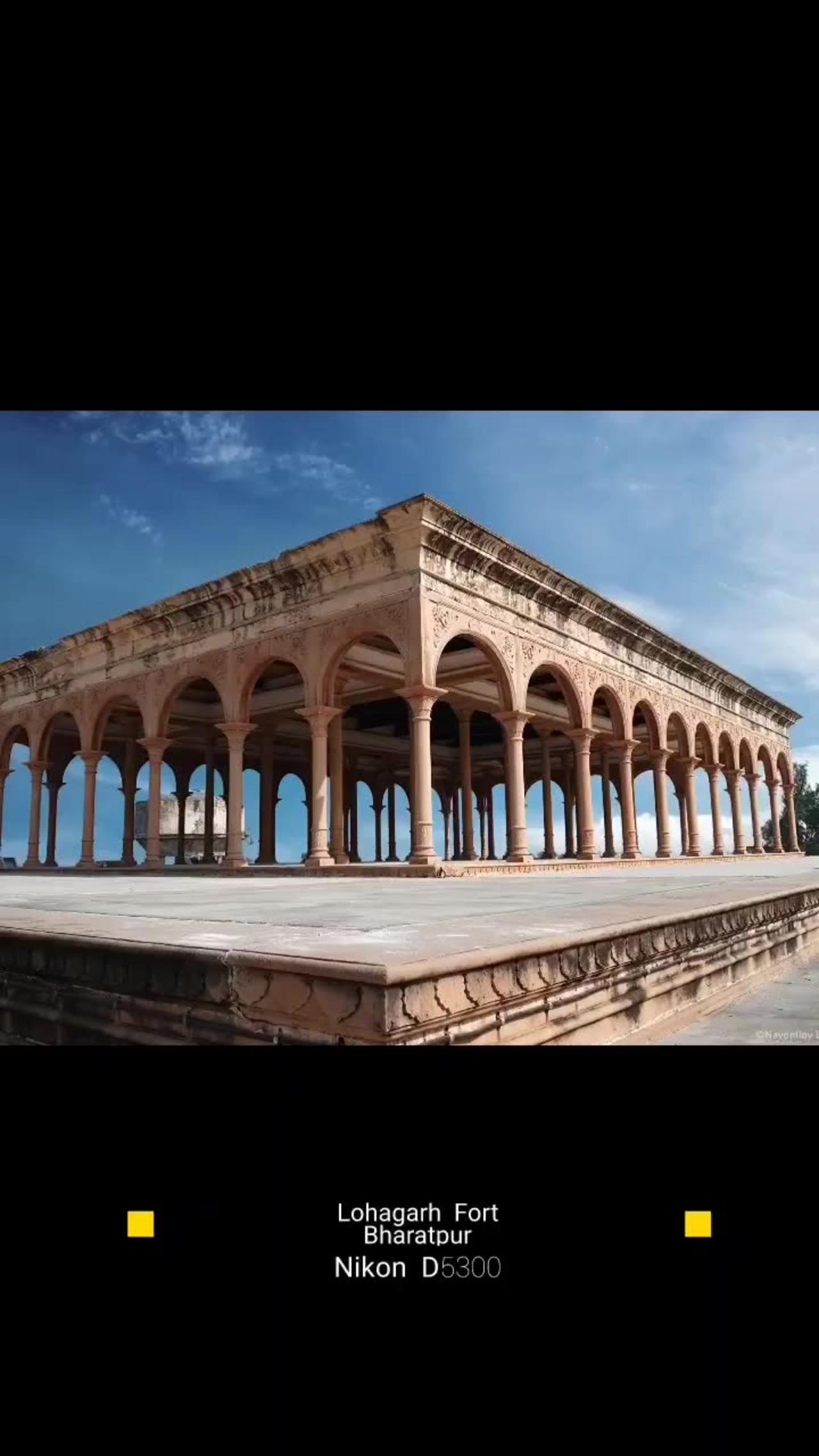 Wildlife in closer view with a natural - One News Page VIDEO