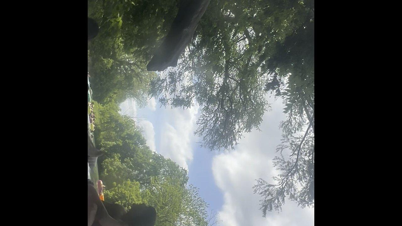 Man falling from tree - One News Page VIDEO