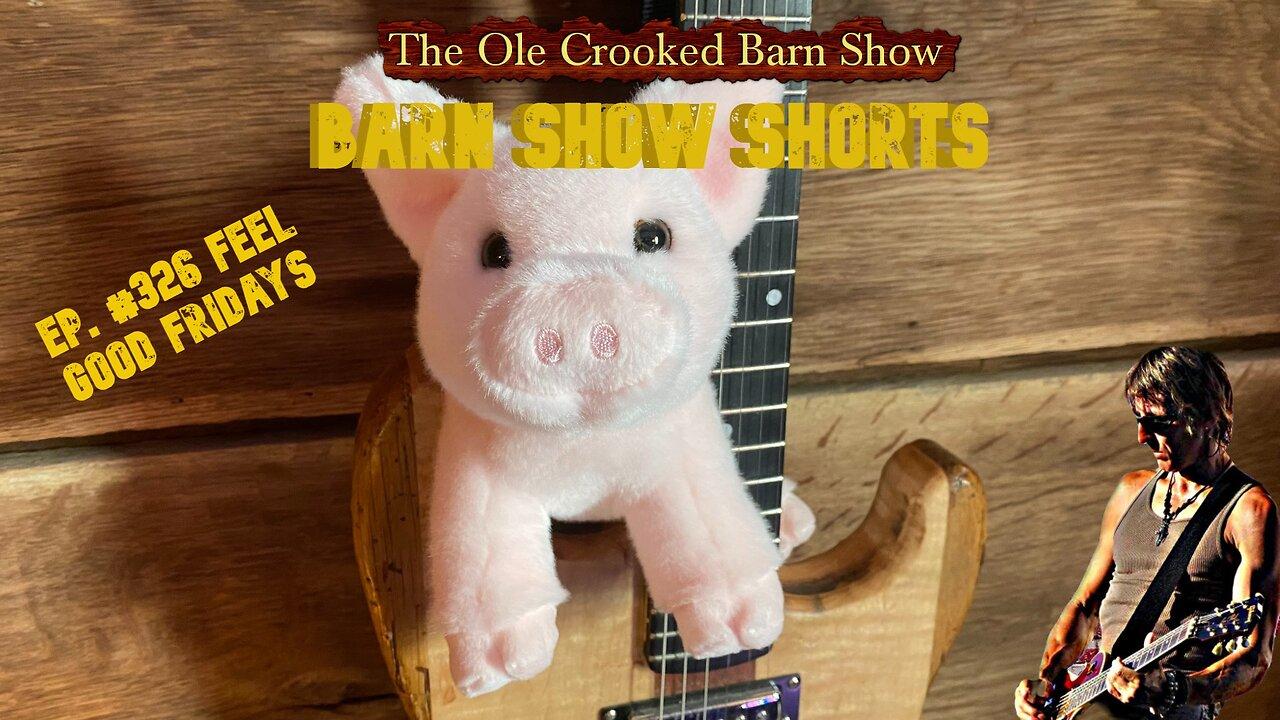 "Barn Show Shorts" Ep. #326 “Feel - One News Page VIDEO