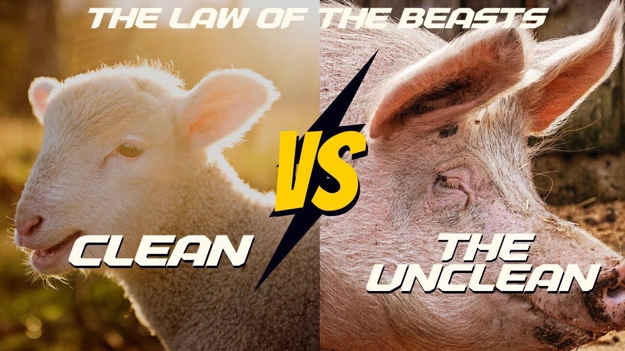 THE MYSTERY OF BEASTS CLEAN AND UNCLEAN - One News Page VIDEO
