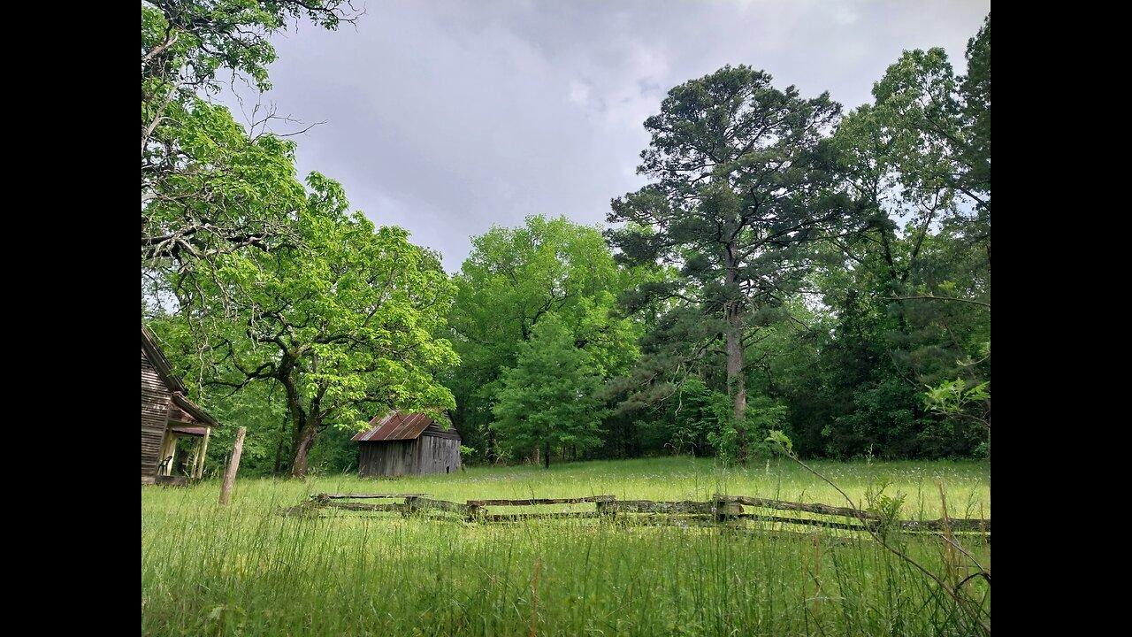 Fearless Expectation Bigly - One News Page VIDEO