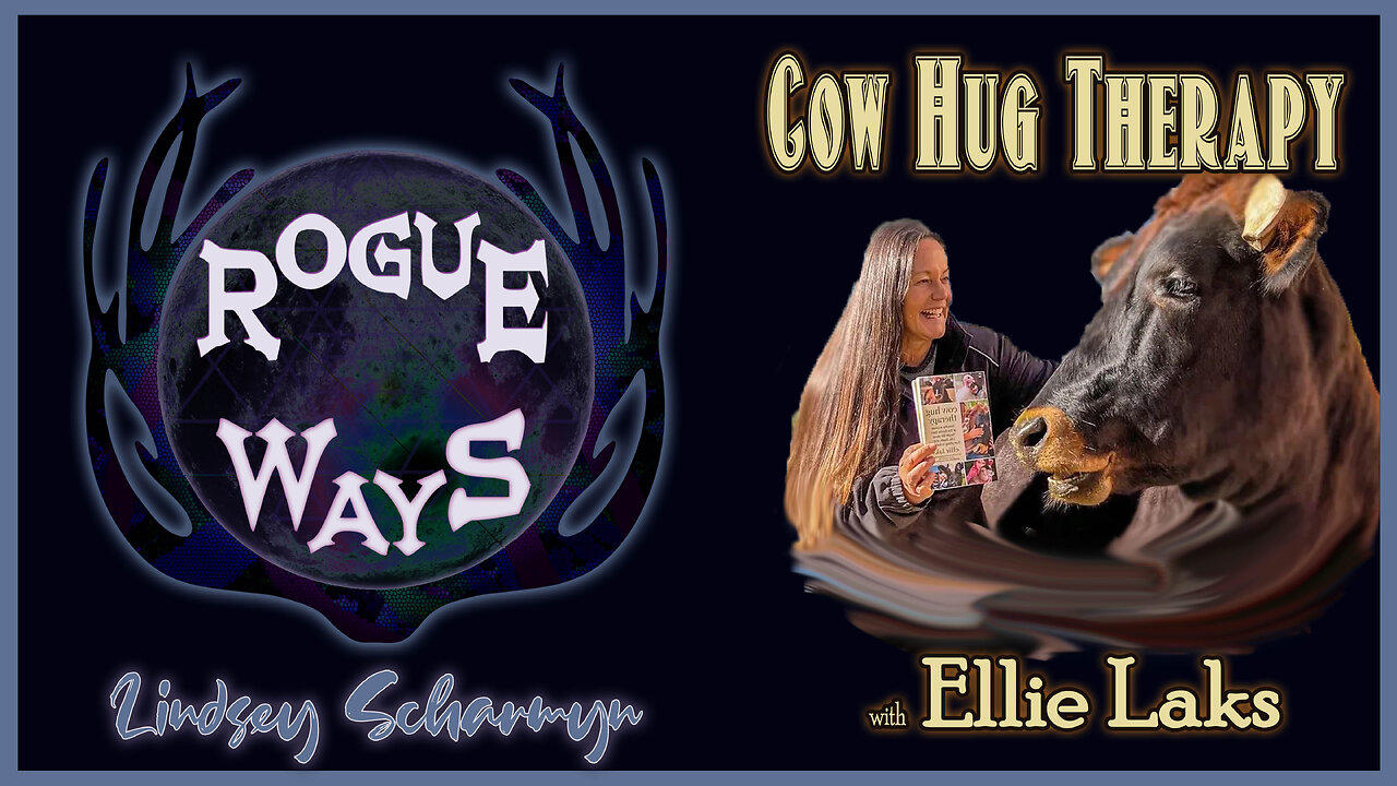 Cow Hug Therapy with Ellie Laks - One News Page VIDEO