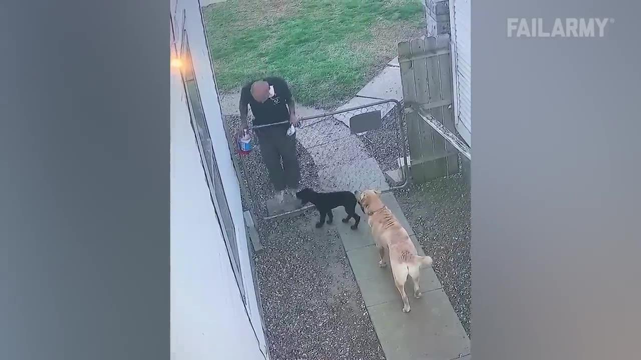 Best CCTV Fails of 2023! _ Try Not to Laugh - One News Page VIDEO