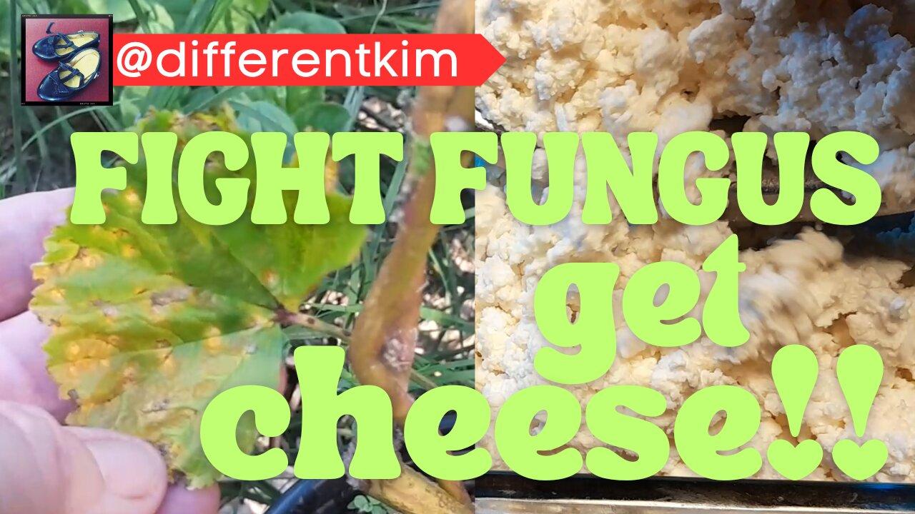 Enhance SOIL FERTILITY & GROW BIGGER Plants - One News Page VIDEO