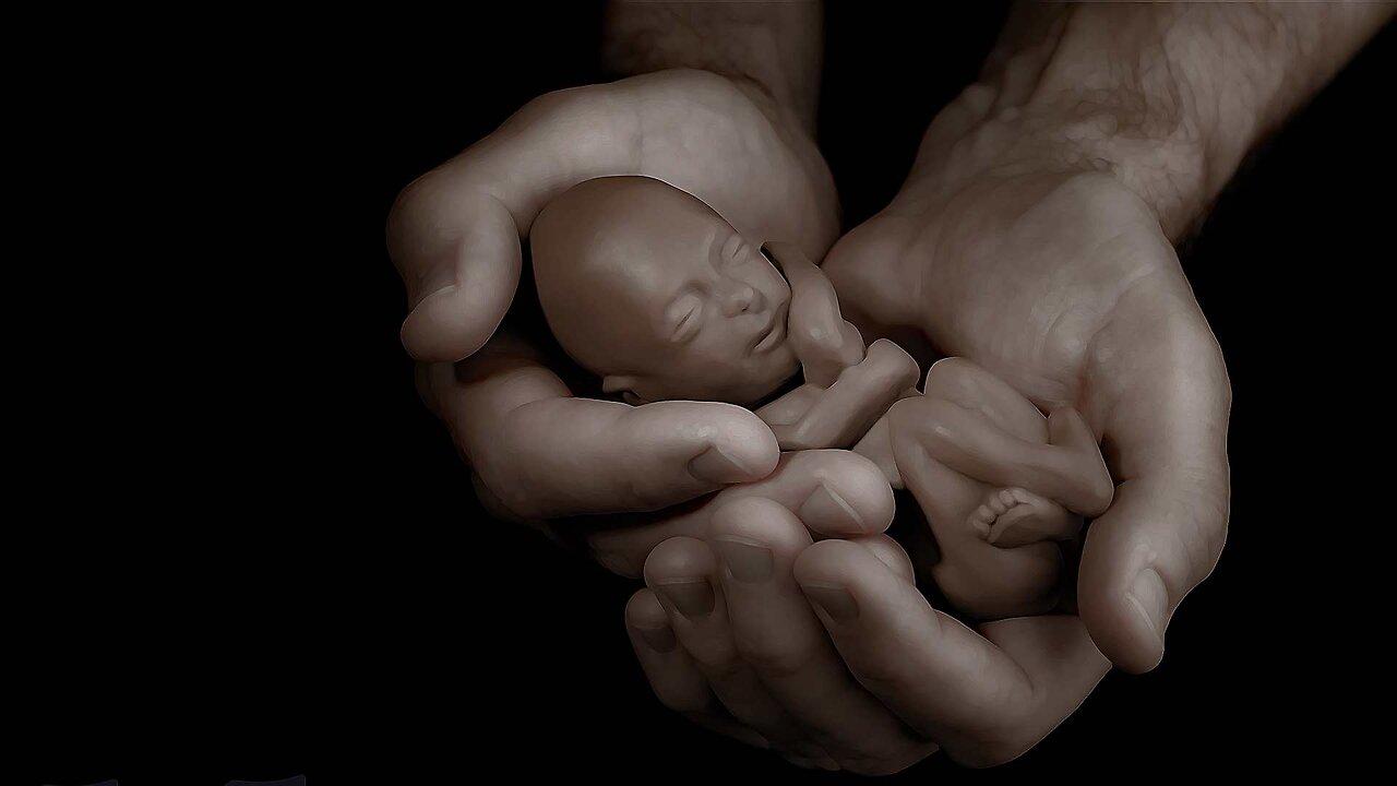 Kate Shemirani & Lara Hayes: Abortion & - One News Page VIDEO