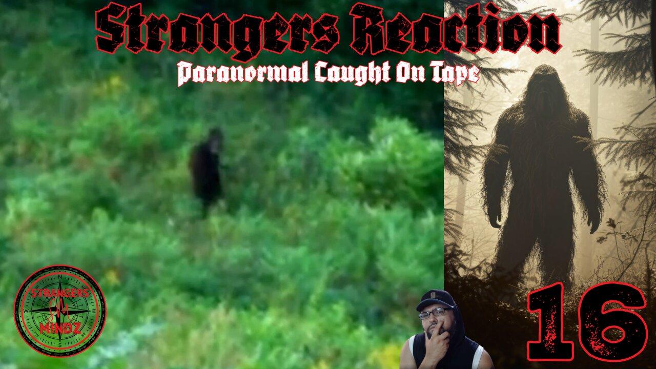 STRANGERS REACTION. Paranormal Caught On Tape. - One News Page VIDEO