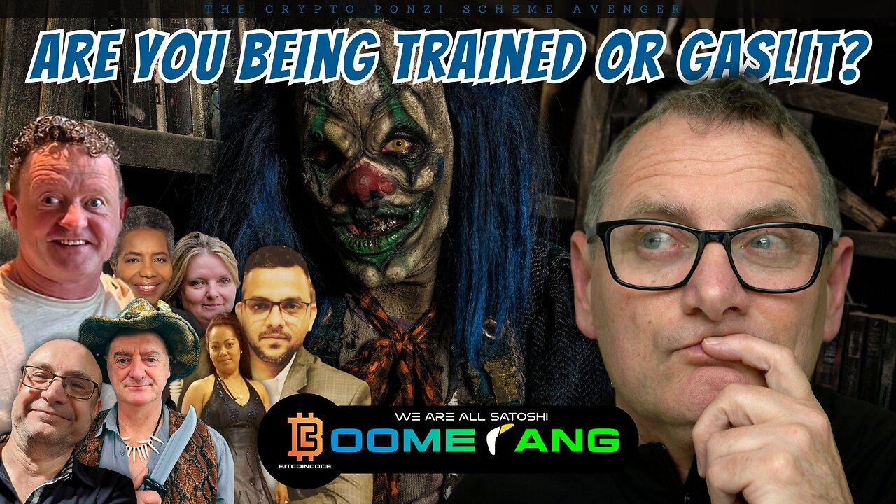 BOOMERANG SCAM: Are You Being Trained or Gaslit? - One News Page VIDEO