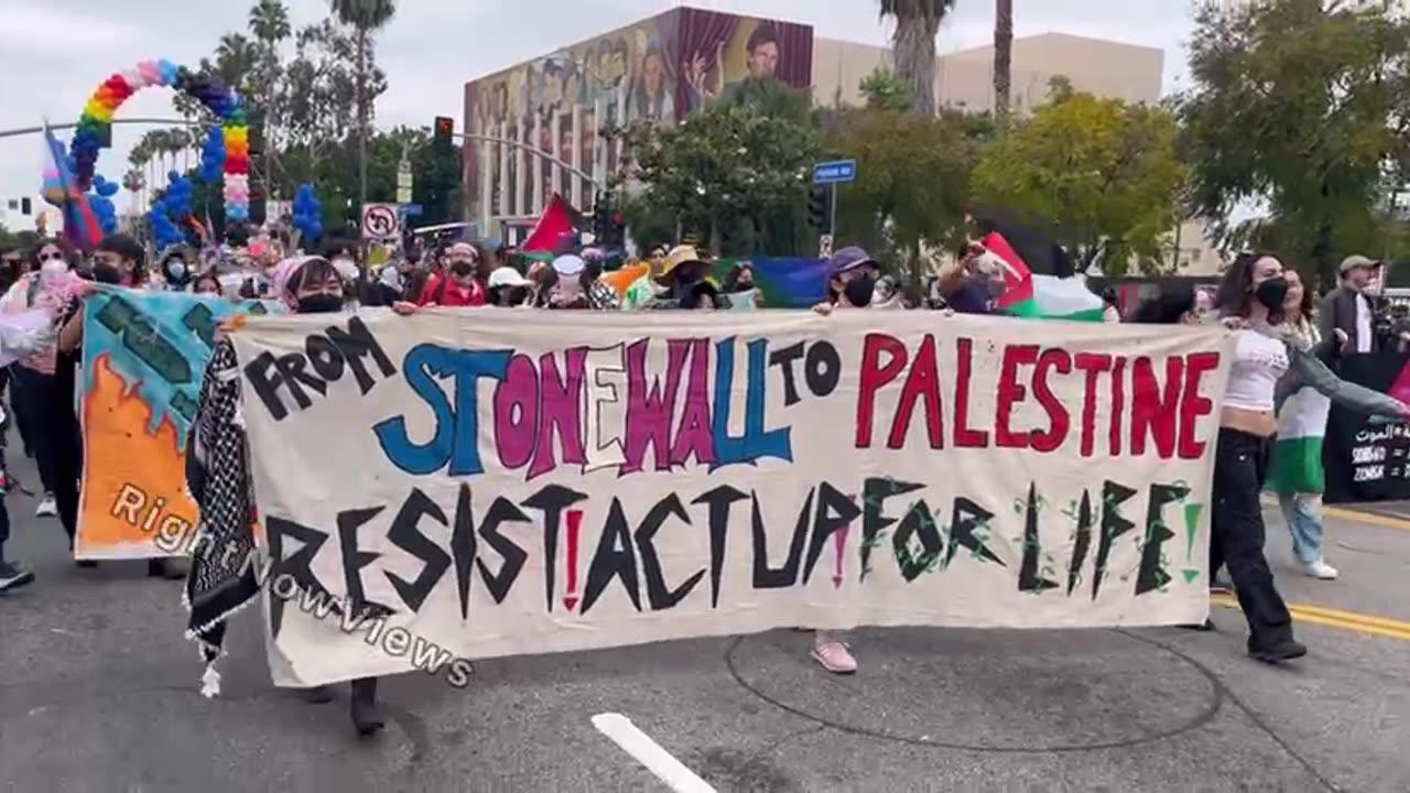 ‘Queers For Palestine’ group forces their - One News Page VIDEO