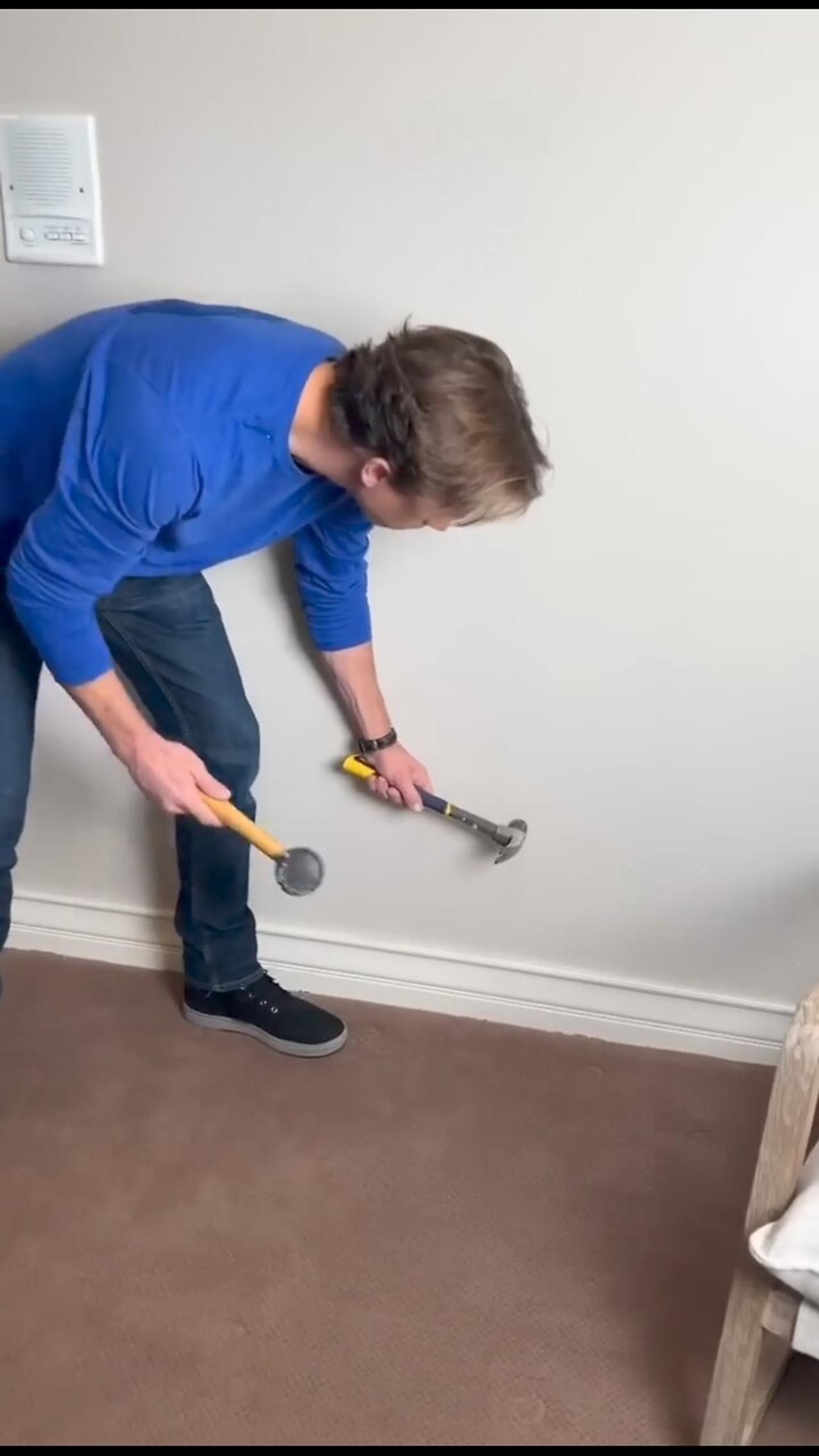 Why you should hide a carrot in your wall 🥕. - One News Page VIDEO