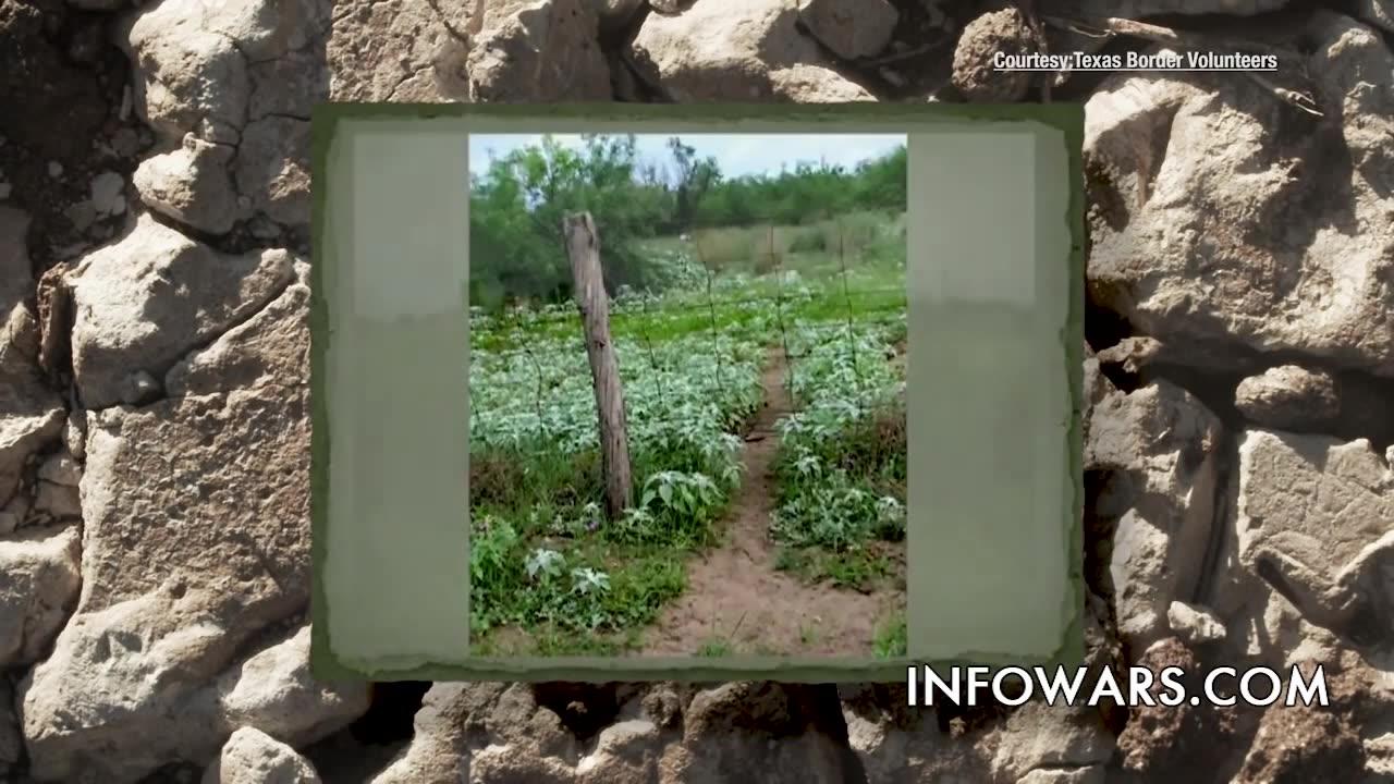 Untold Horrors From The Border Invasion - One News Page VIDEO