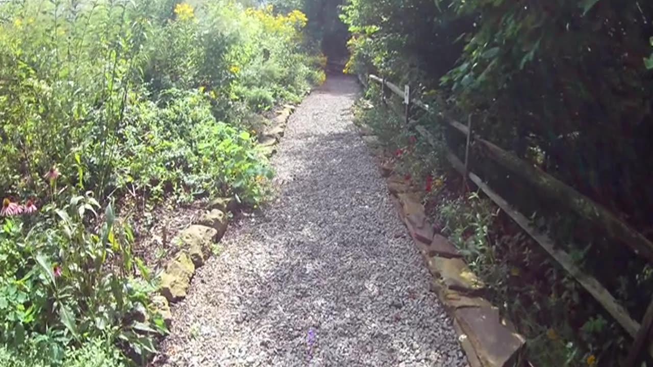 A Walk Through Mary Roberts Rinehart Park - One News Page VIDEO