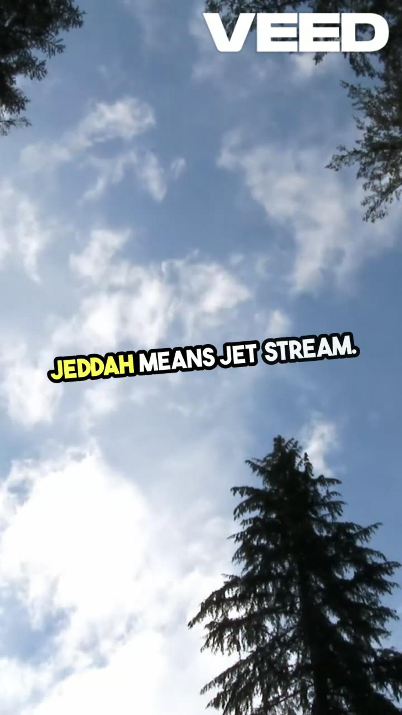 Fun Fact #41- Volkswagen's Windy Car Names - One News Page VIDEO