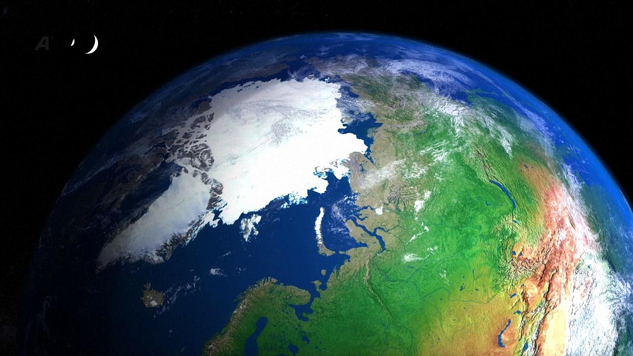 The Arctic food web in turmoil - One News Page VIDEO