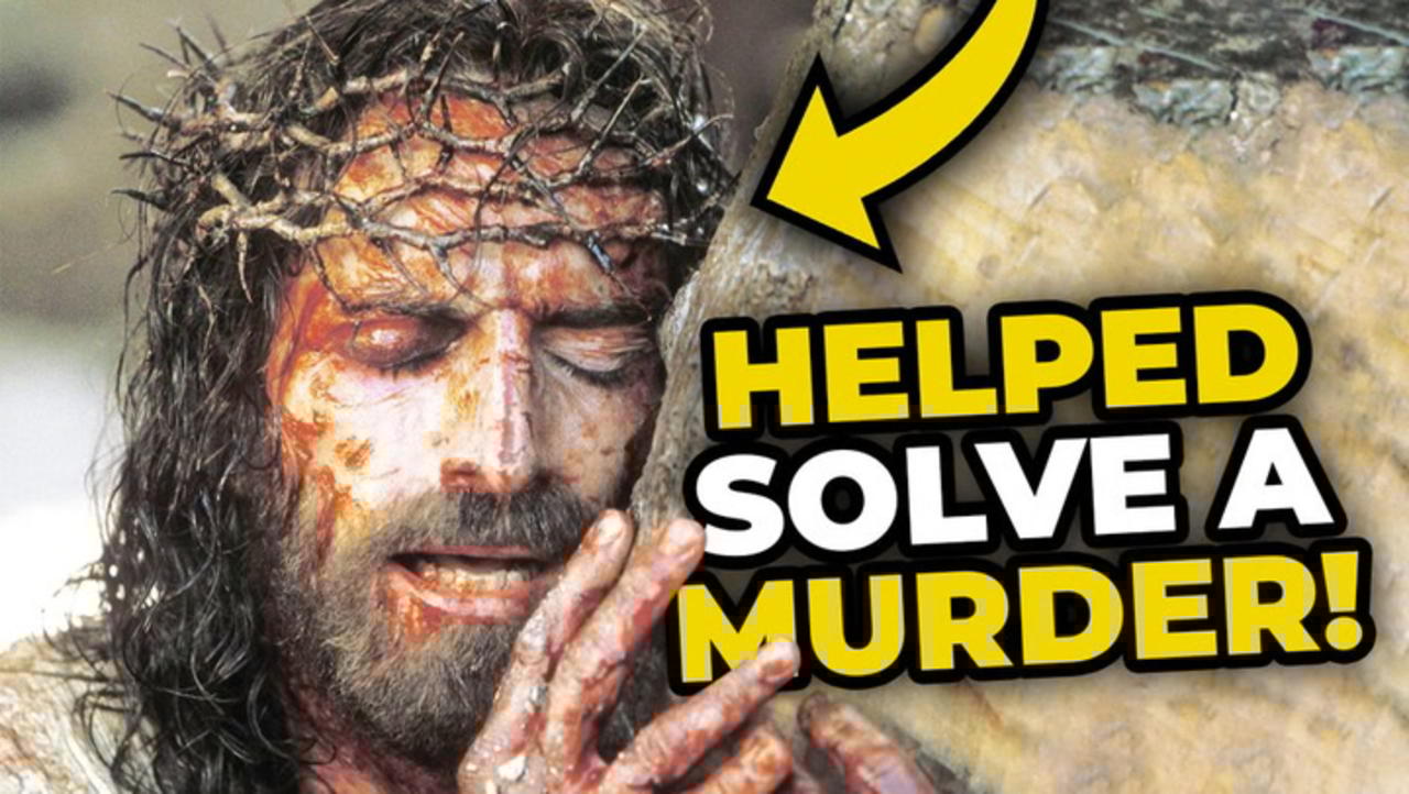 10 Movies With Surprising Real World - One News Page VIDEO