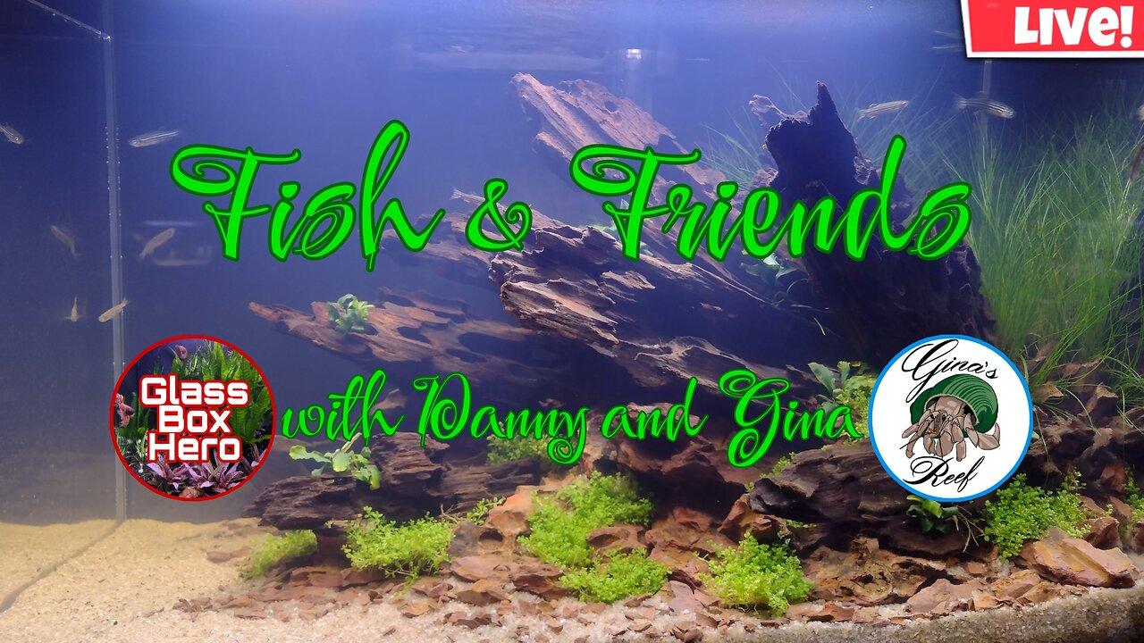 Fish & Friends with Danny and Gina - One News Page VIDEO
