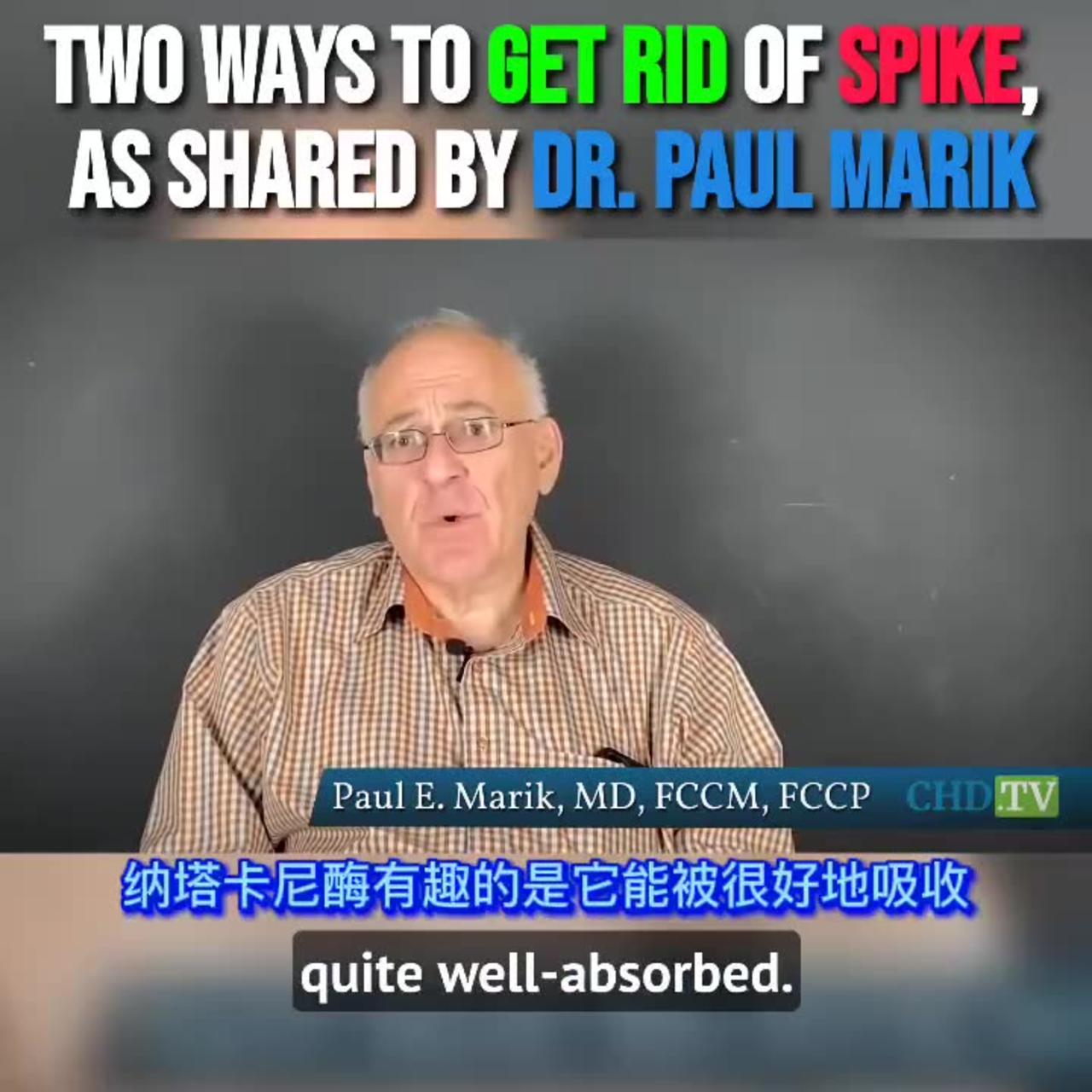 Two Ways to Get Rid of Spike: Dr. Paul Marik - One News Page VIDEO