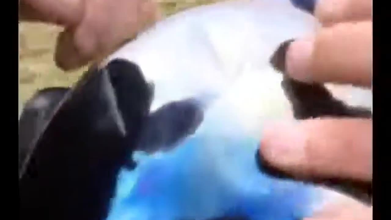 Mike Loades Weapons That Made Britain Sword - One News Page VIDEO