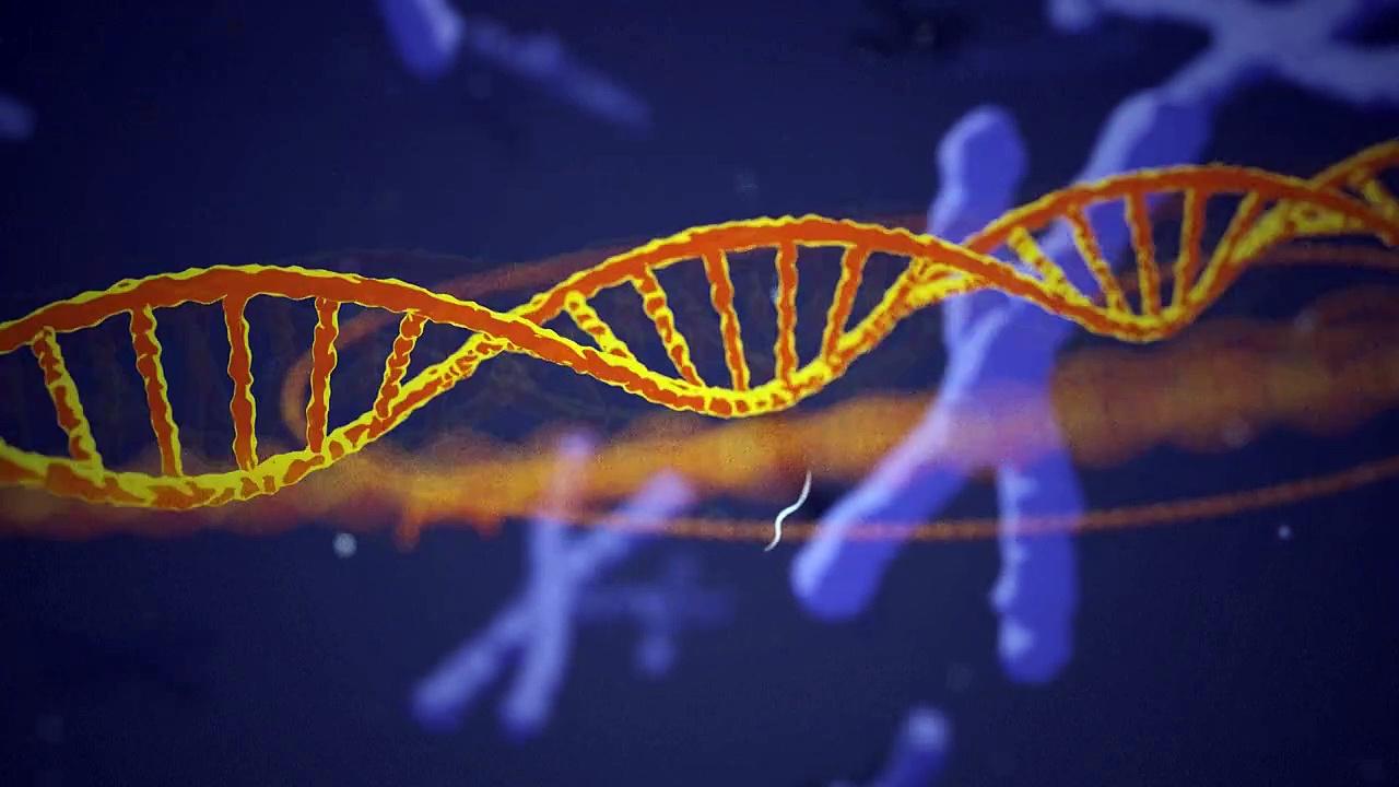 Editing DNA: the « molecular scissors» - One News Page VIDEO
