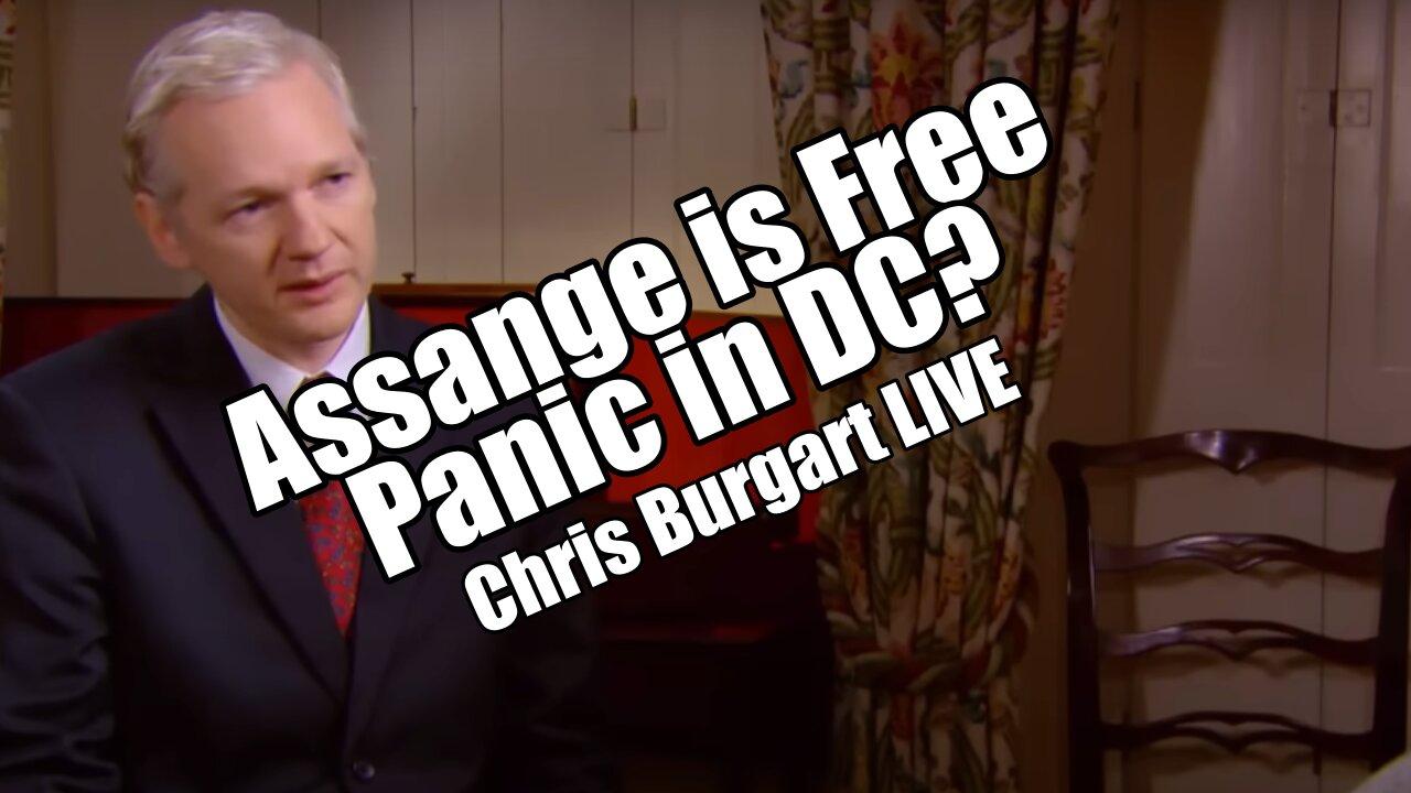 Assange is Free. Panic in DC? Chris Burgart - One News Page VIDEO