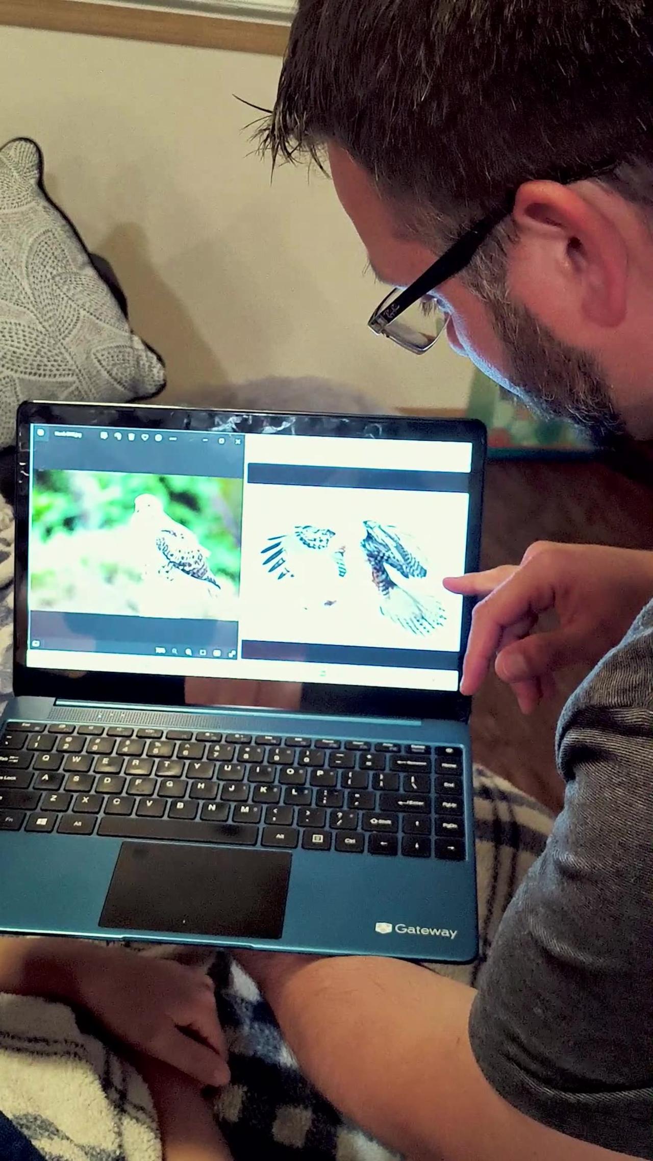 HAWK ONE - One News Page VIDEO