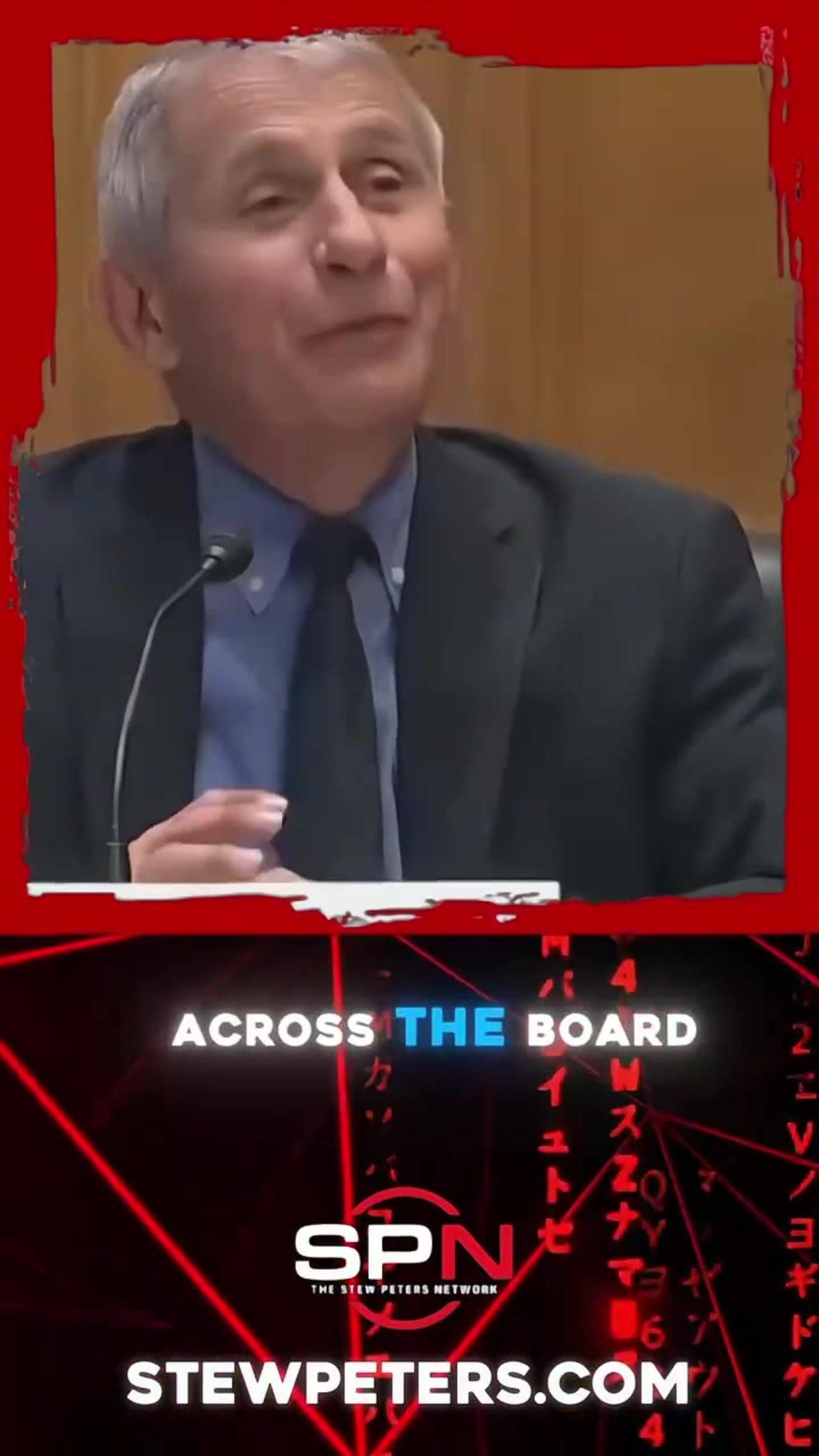 The new bird flu strand and the consequences to - One News Page VIDEO