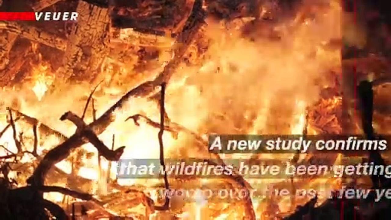 Extreme Wildfires Have Doubled Over The Past Few - One News Page VIDEO