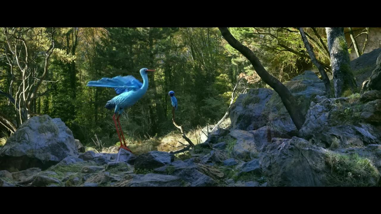 The Fox and the Bird short film - One News Page VIDEO