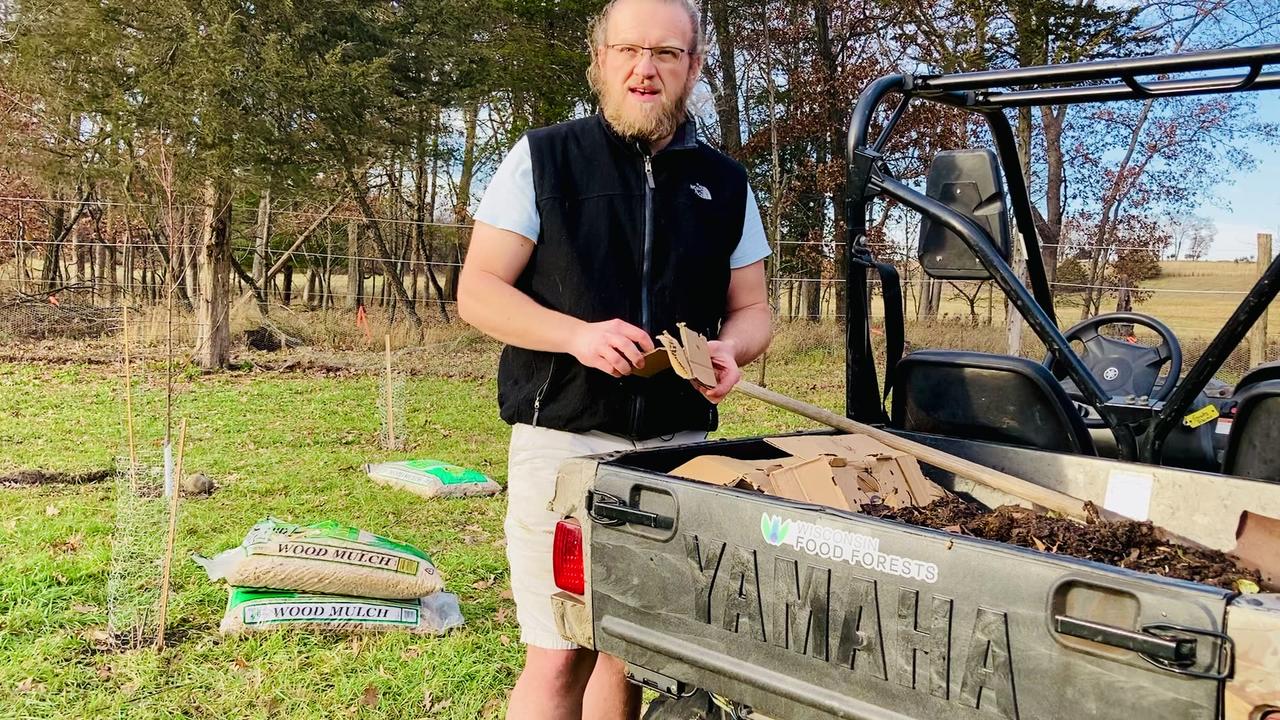 Laying compost on and sheet mulching currant - One News Page VIDEO