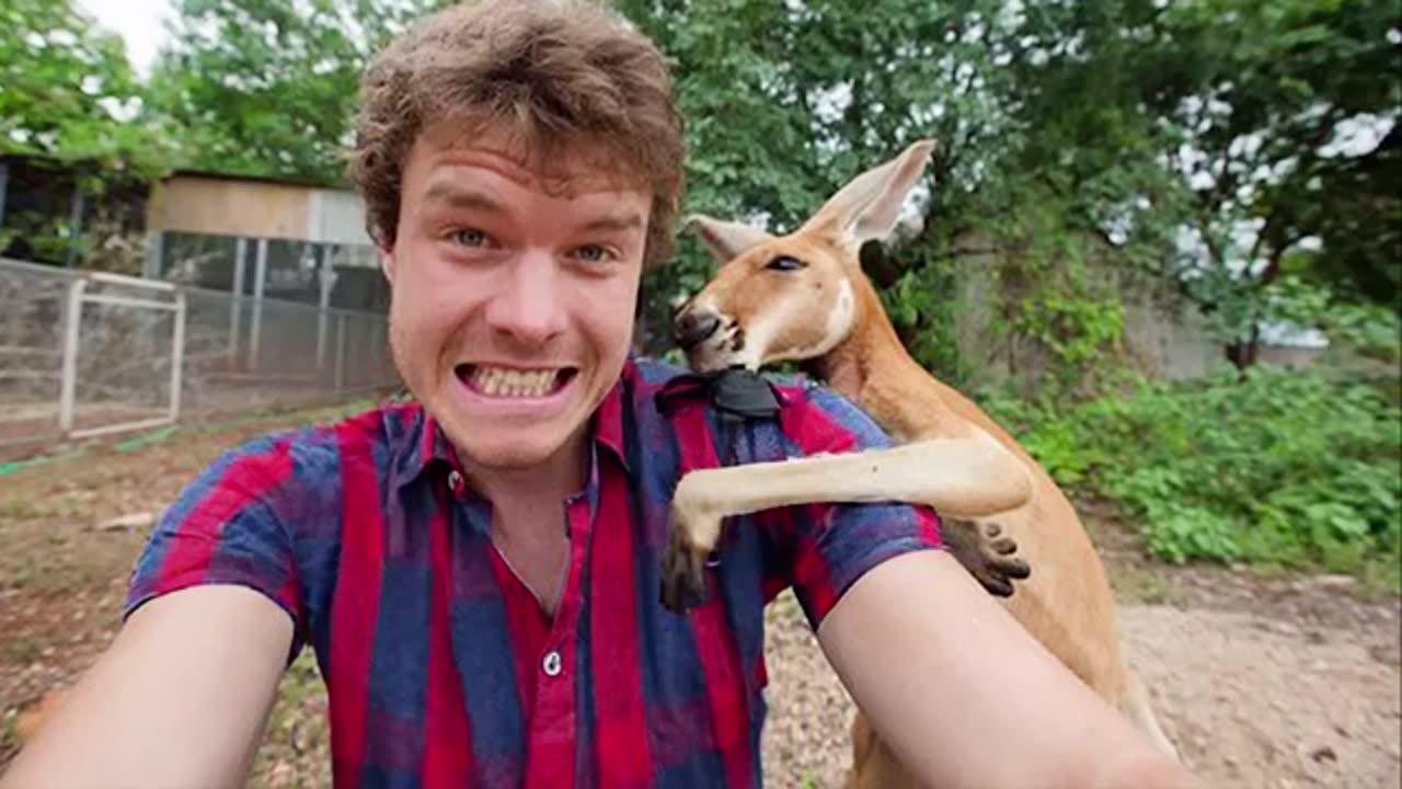 Master cat with funny boy 2024 - One News Page VIDEO