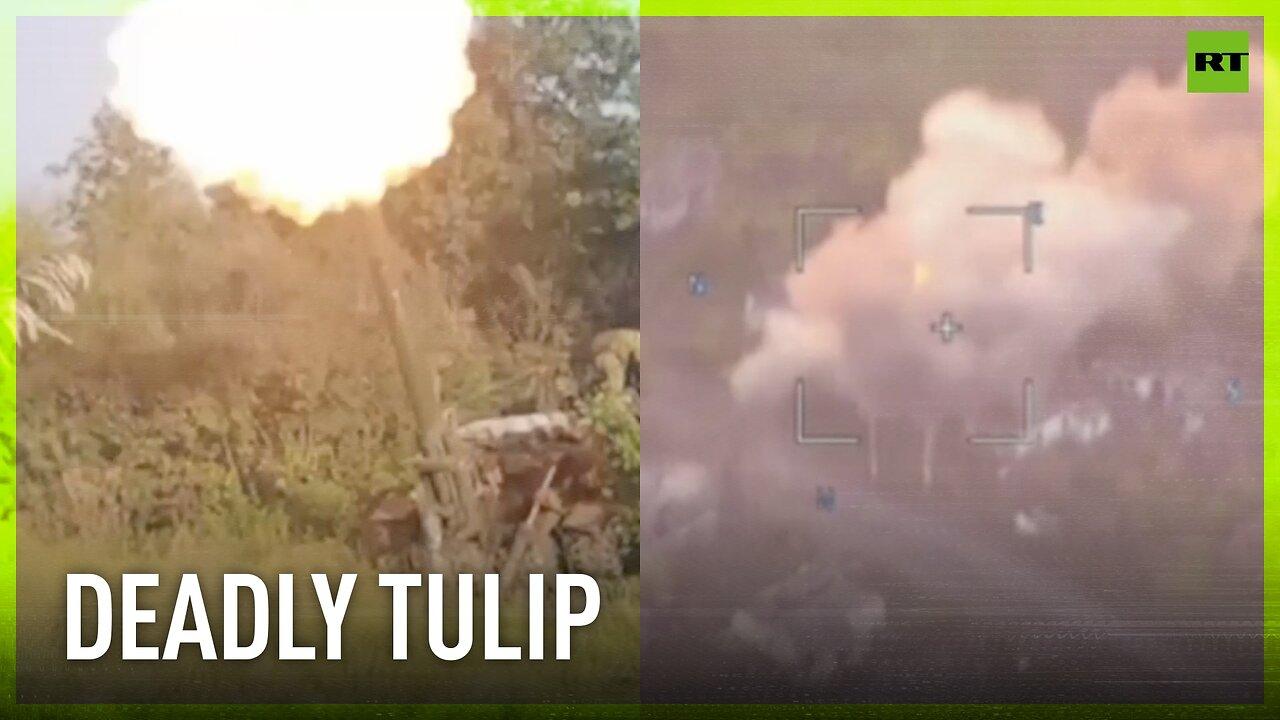 Firing 2S4 Tyulpan (Tulip) | Russian mortarmen - One News Page VIDEO