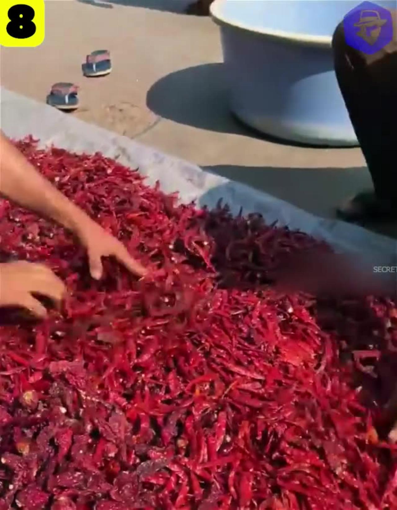 Adulterated foods are very harmful to the body - One News Page VIDEO