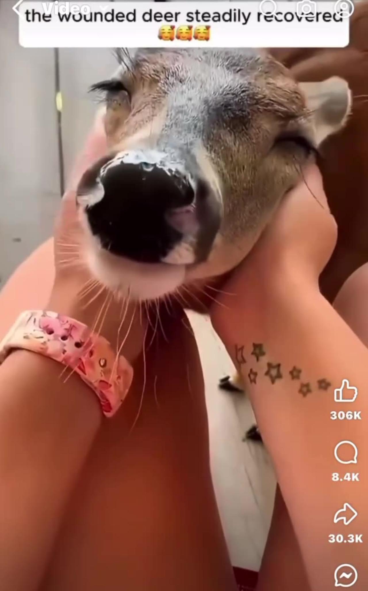 Here is an example that Humanity still exists!! - One News Page VIDEO