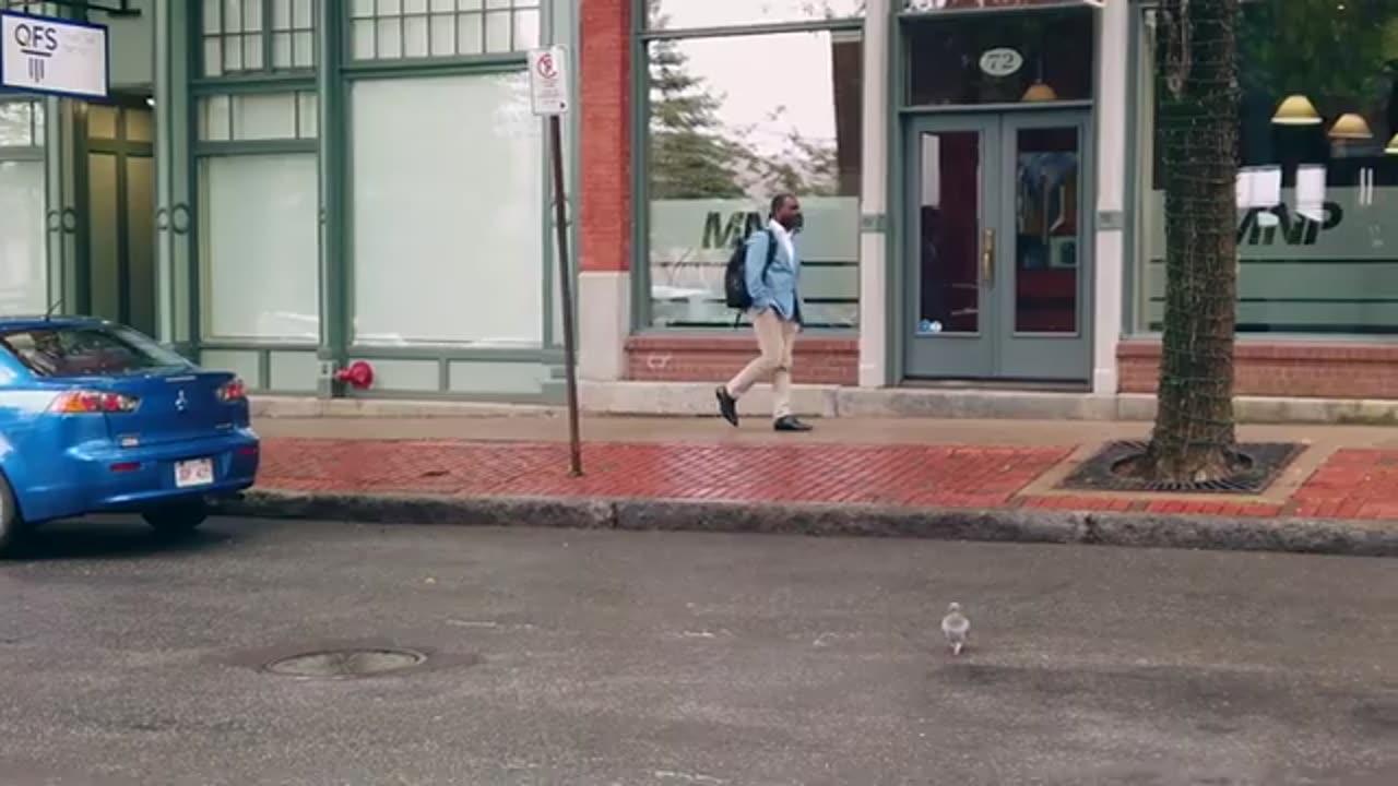 Meet the man working to be a bridge for N.B. - One News Page VIDEO