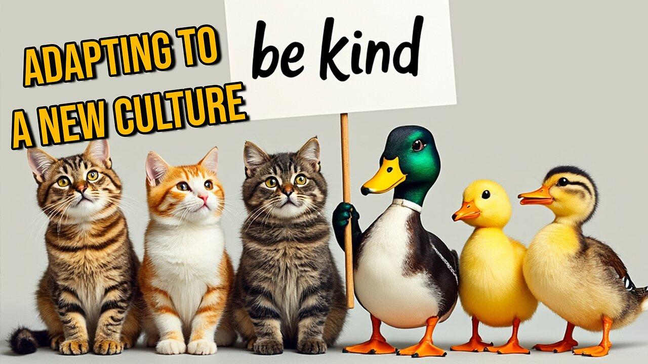 Pastor Scott Show - Adapting to a new culture - One News Page VIDEO