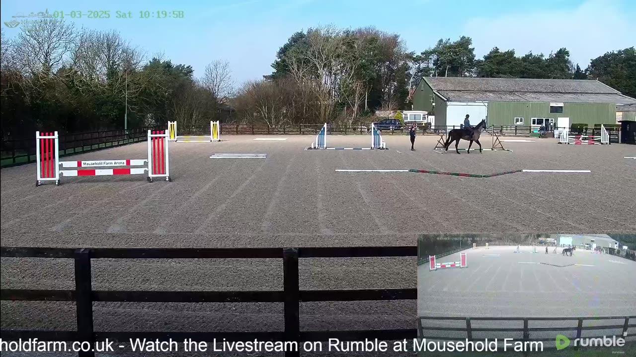 Mousehold Farm All Weather Riding arena - One News Page VIDEO